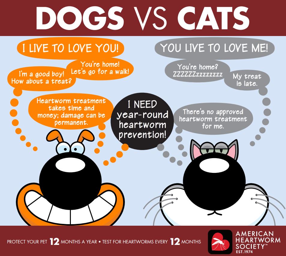 infographics - American Heartworm Society